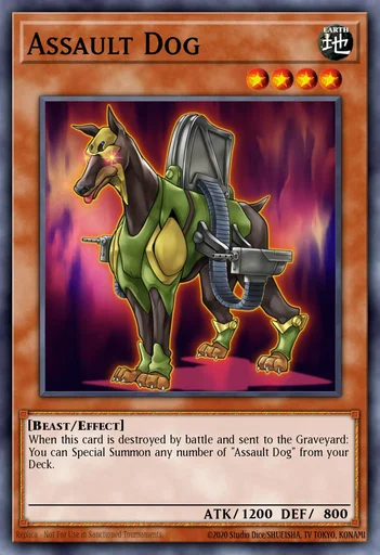 Cão de Assalto – Yu-Gi-Oh! Master Duel – Untapped.gg